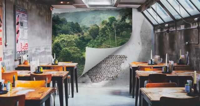 Probo innoveert met multifunctionele wandbekleding | PRINTmatters